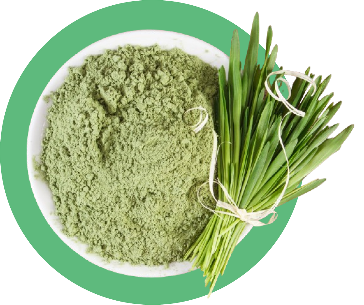 Home - Sante Barley CDO